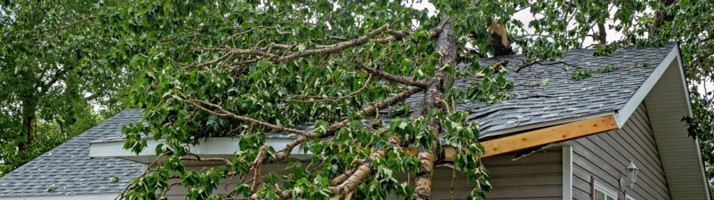 What is a Covered Peril? Guide to Roof Insurance Coverage | Fults ...